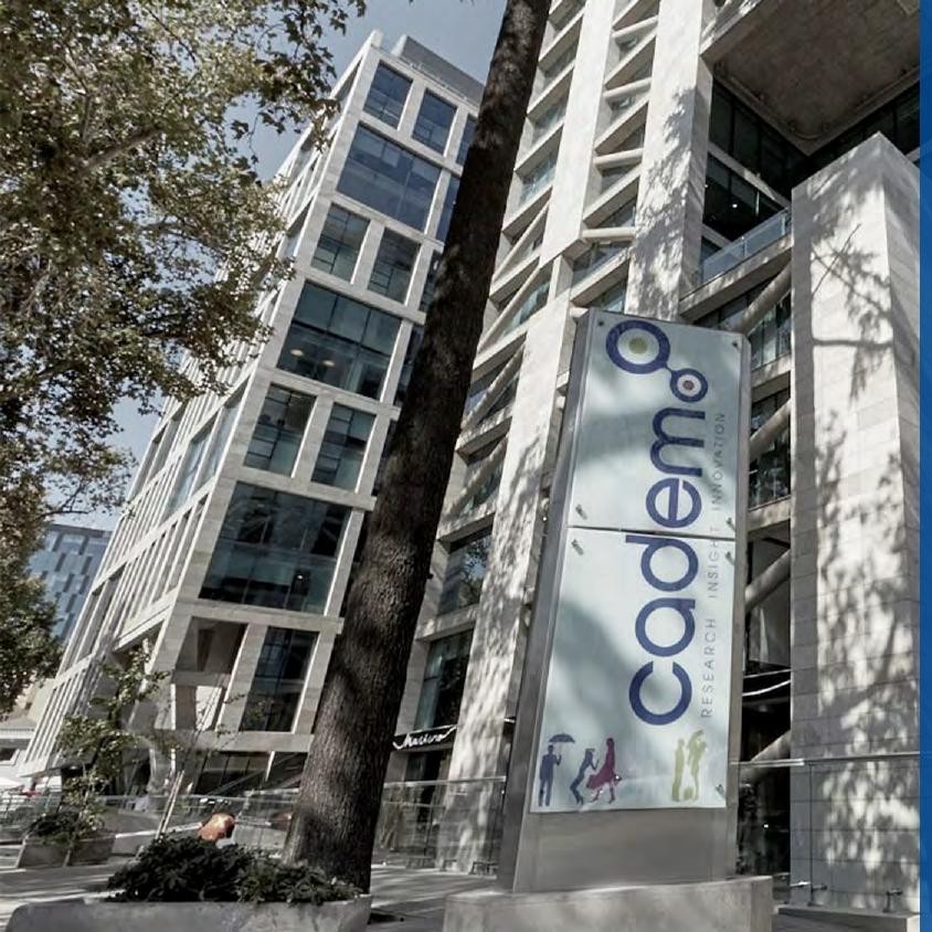 CADEM.pdf | DocDroid