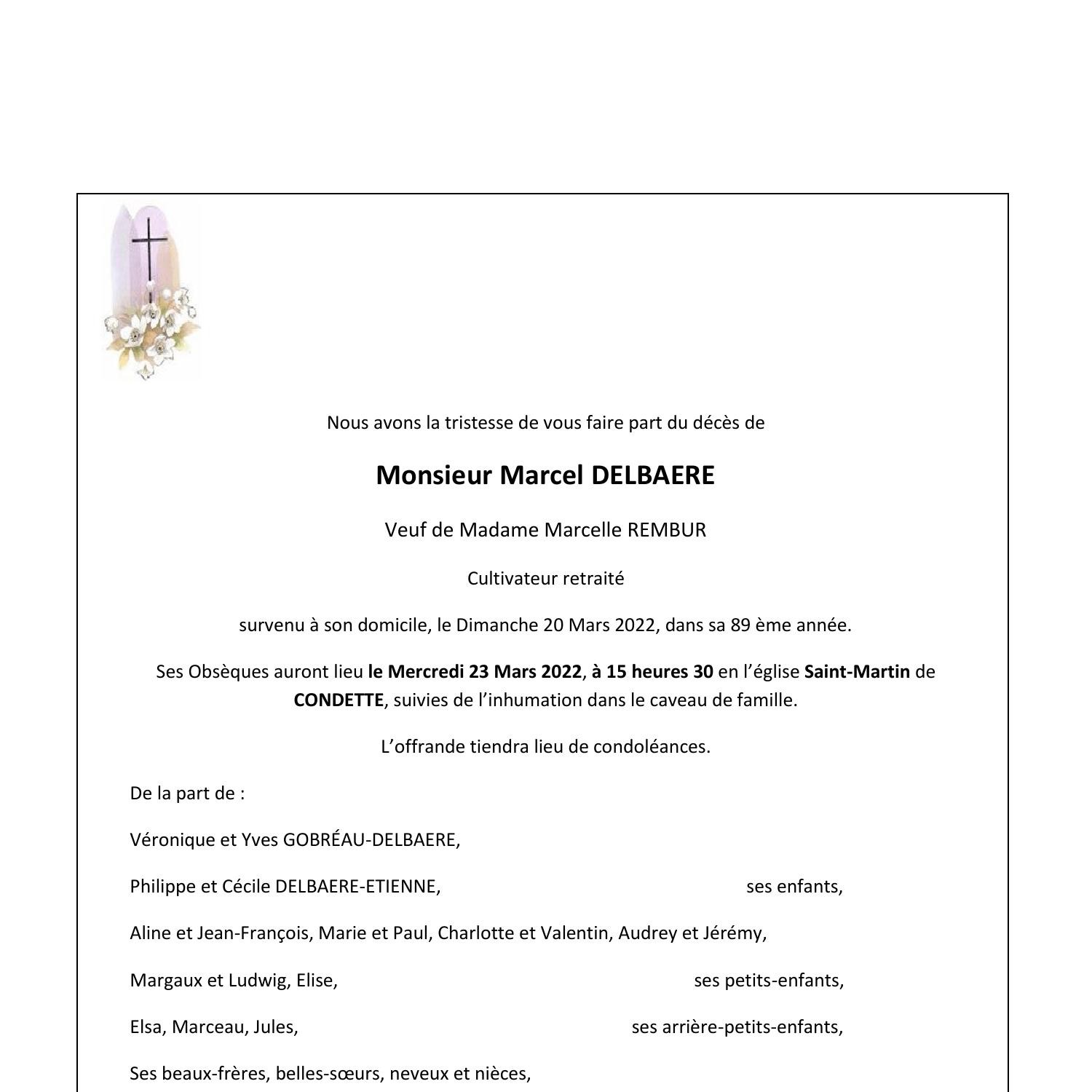 DELBAERE.docx | DocDroid