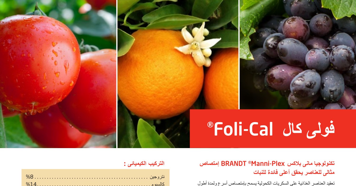 FoliCal.pdf | DocDroid