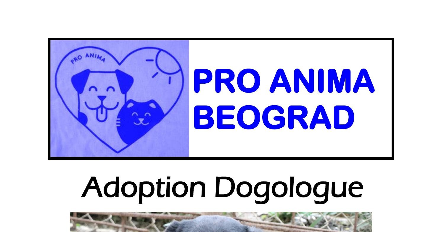 Dogologue- Spring 2023.pdf | DocDroid