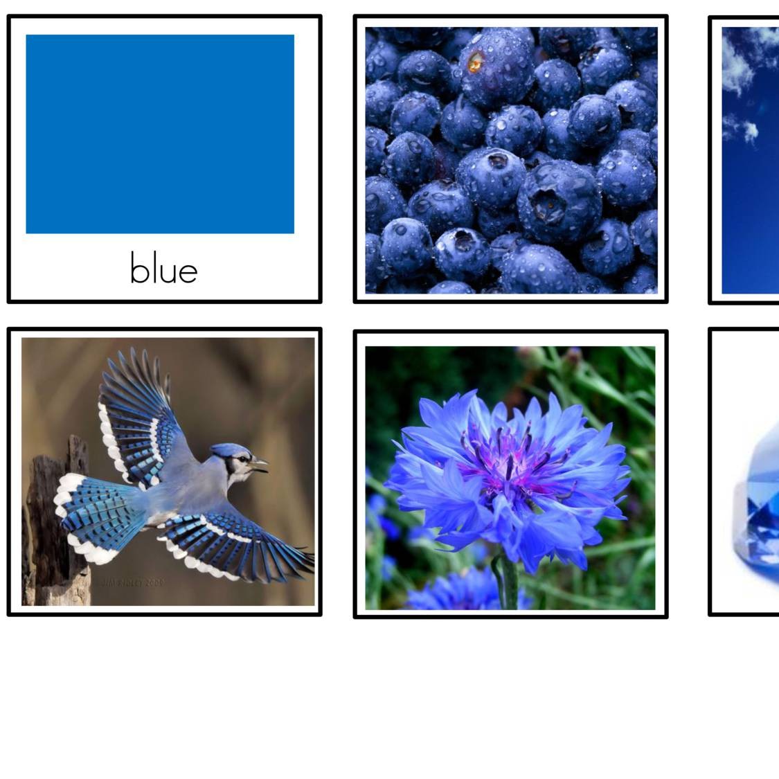 Color Sorting Cards.pdf | DocDroid