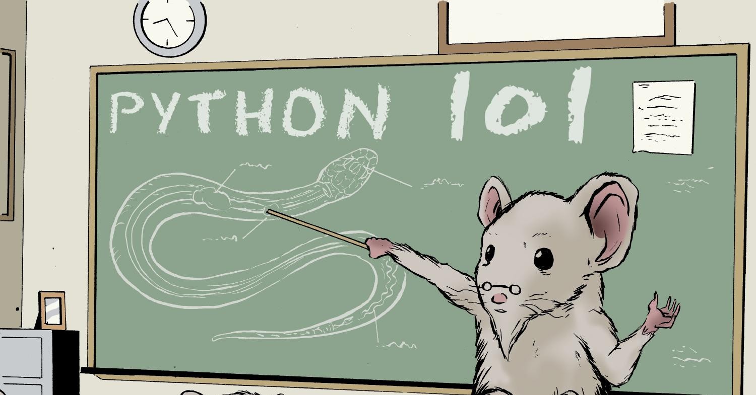 Python 101.pdf | DocDroid