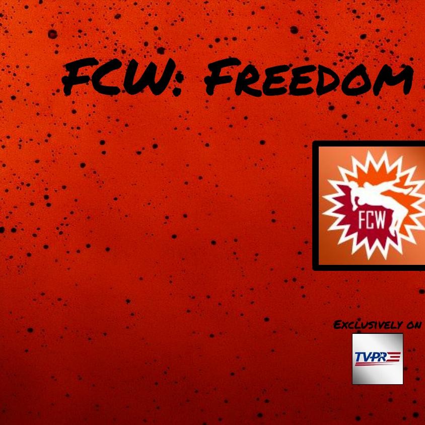 FCW_ Freedom Fighters 3.pdf | DocDroid