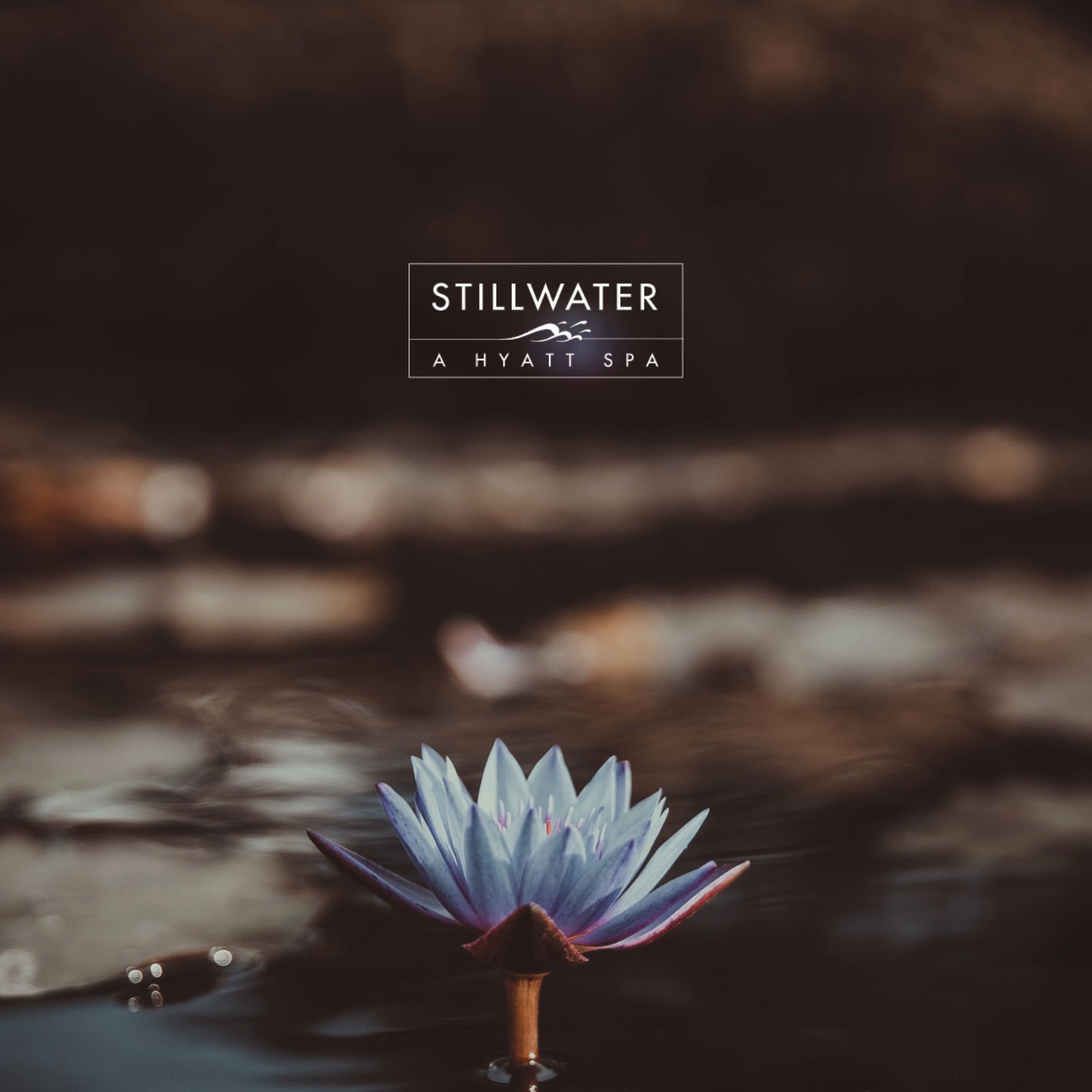 Stillwater Spa Brochure.pdf | DocDroid