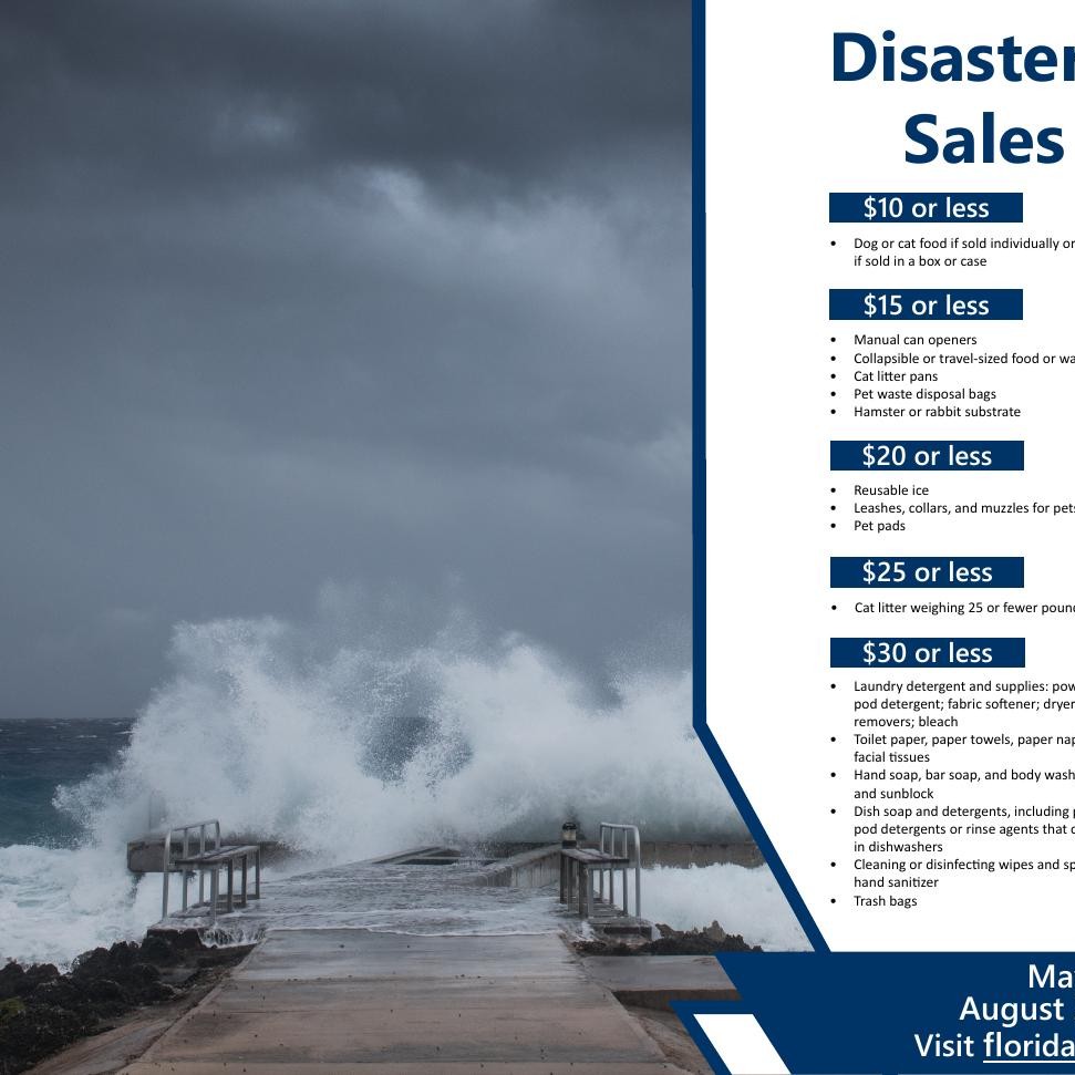 DPposter11X17.pdf | DocDroid