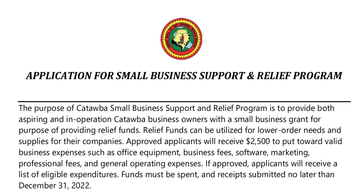 Application - Small Business Support & Relief Program_fillable.pdf ...
