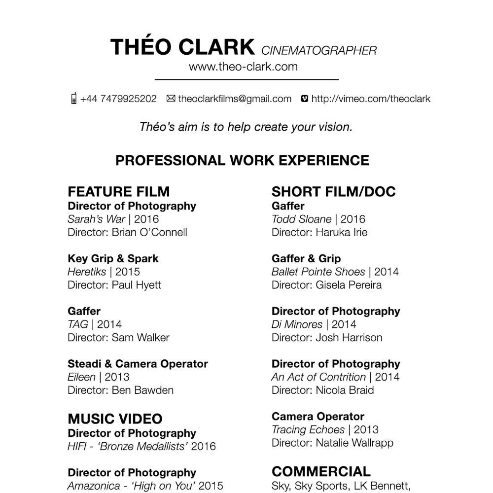 Theo Clark CV_2017.pdf | DocDroid