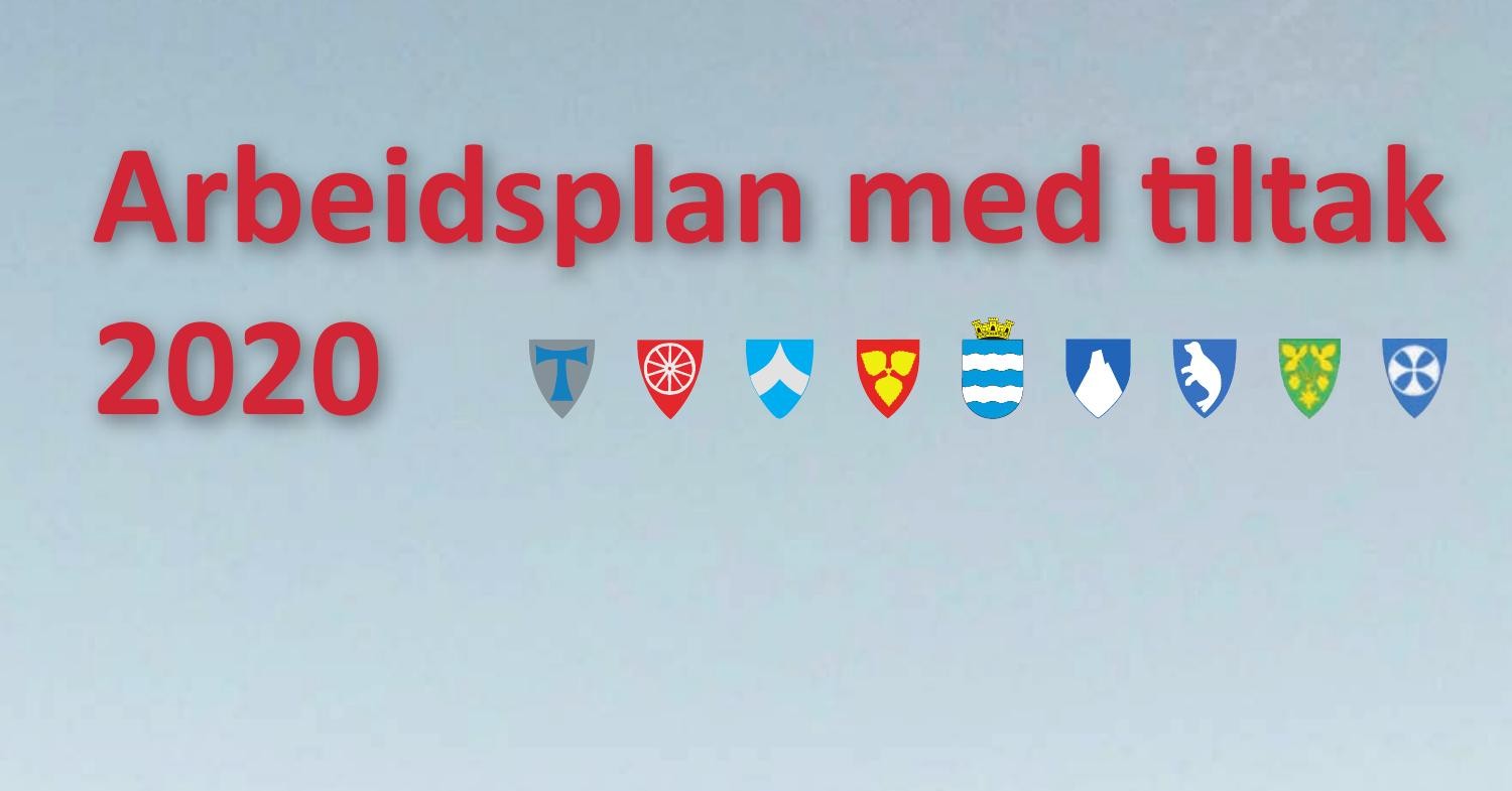 tiltaksplan 2020.pdf | DocDroid