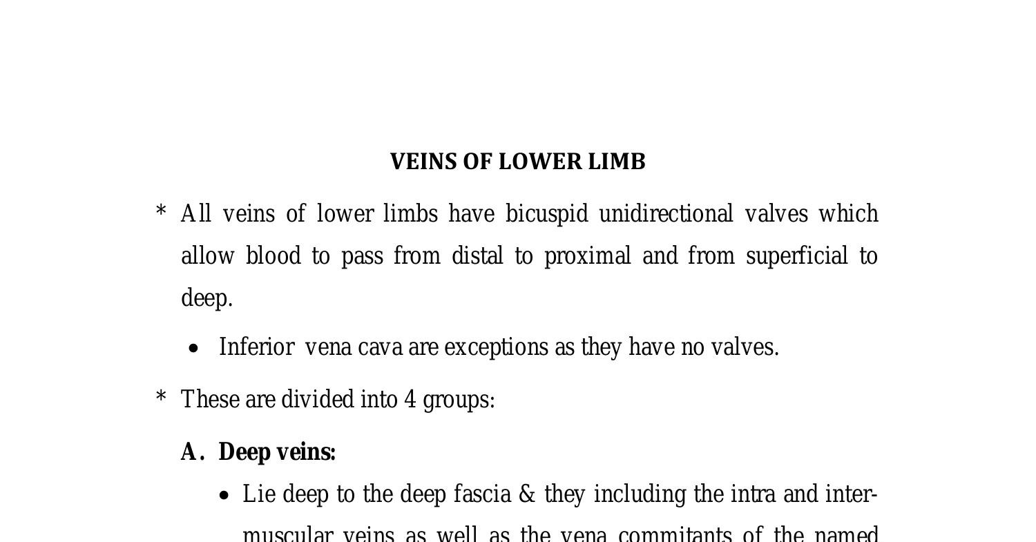Anatomy vessels of lower limb 2018.doc | DocDroid