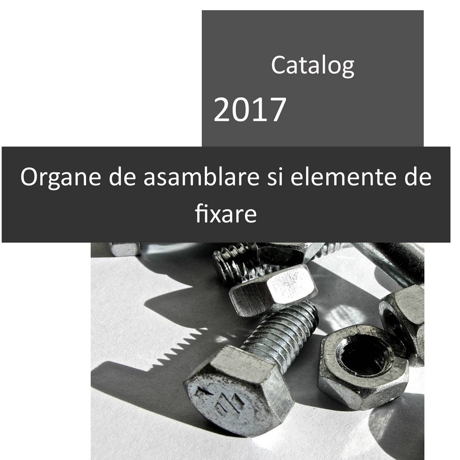 Catalog organe de asamblare si elemente de fixare.pdf | DocDroid
