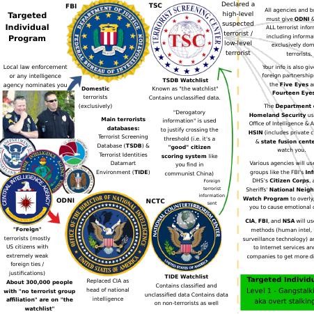 targeted-individual-program7.pdf | DocDroid