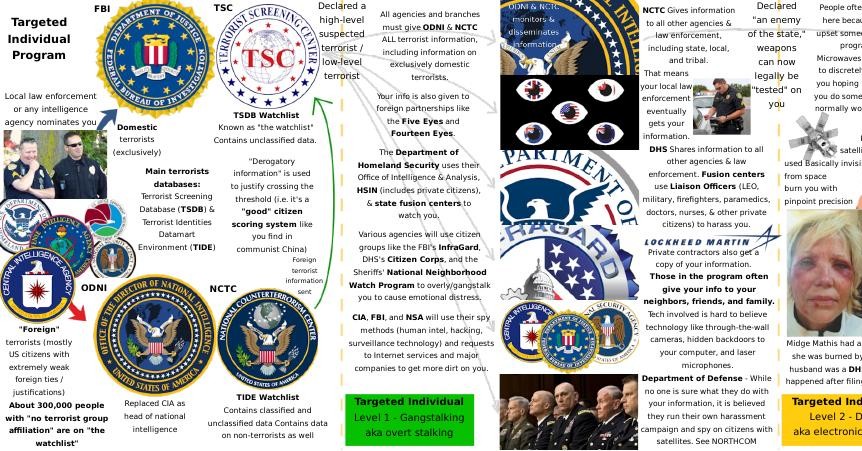 targeted-individual-program7.pdf | DocDroid