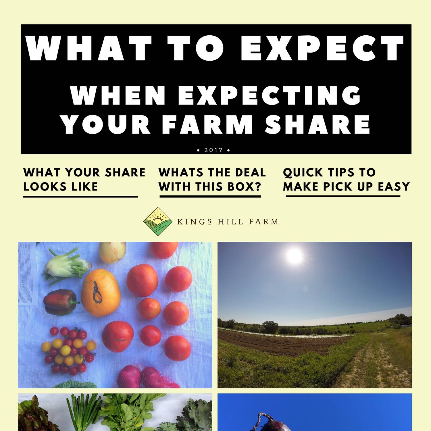 What to Expect (1).pdf | DocDroid