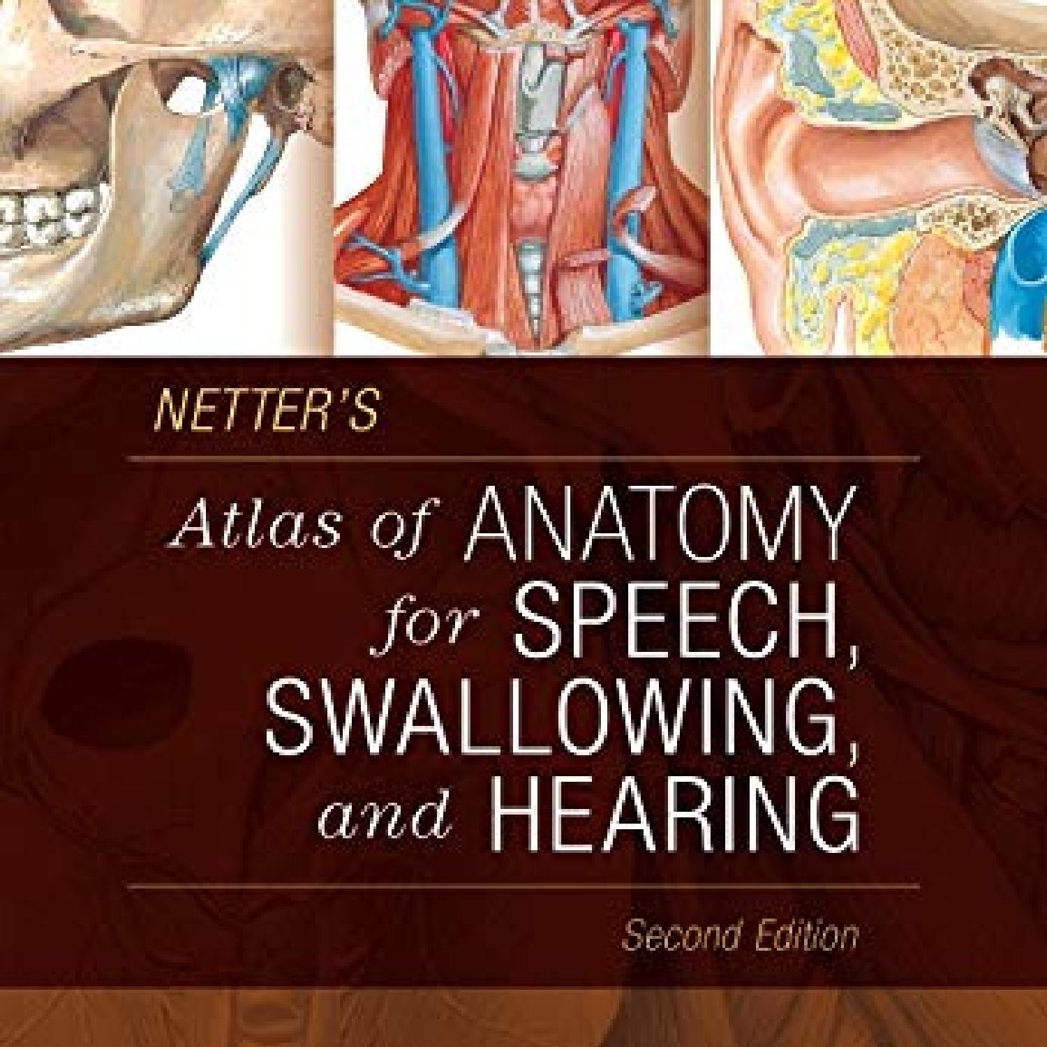 BOOK Netter s Atlas of Anatomy for Speech Swallowing and Hearing.pdf ...