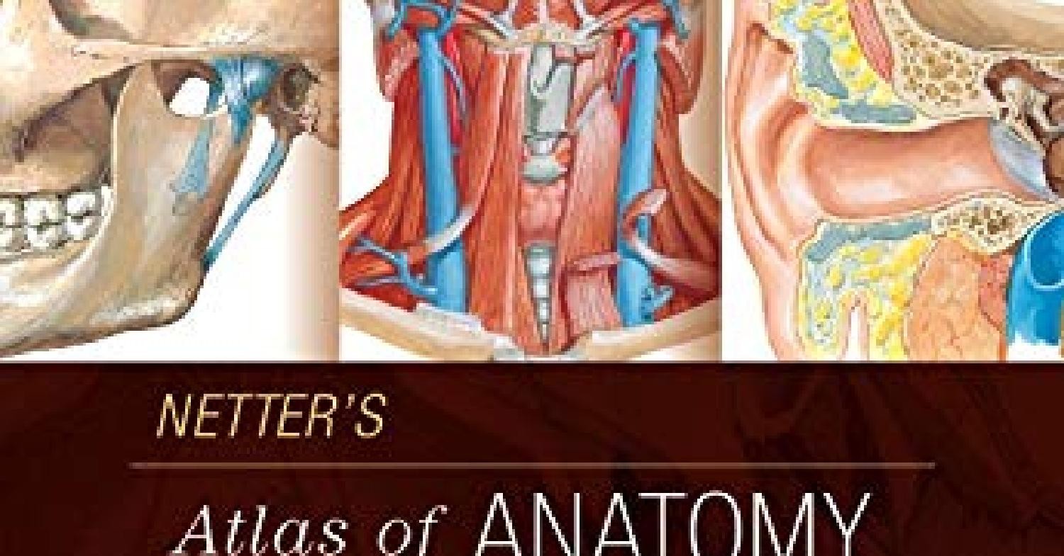 BOOK Netter s Atlas of Anatomy for Speech Swallowing and Hearing.pdf ...