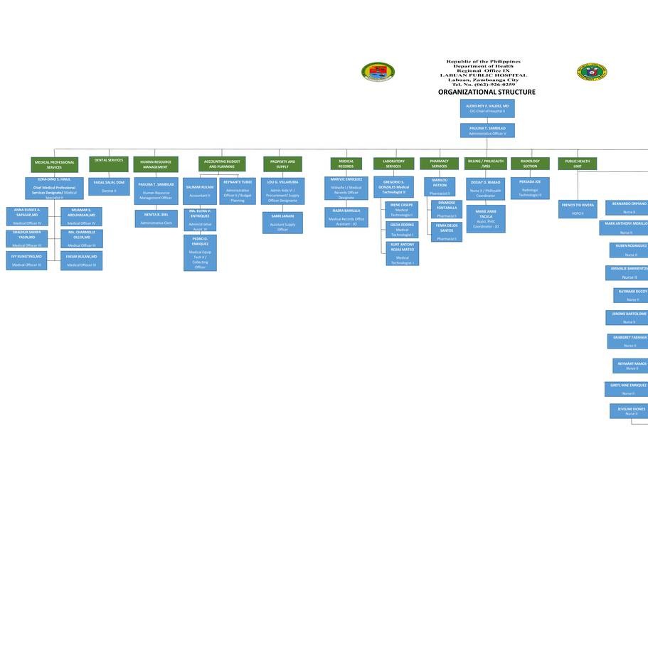 ORGANIZATIONAL CHART PAGE 1 (1).pdf | DocDroid