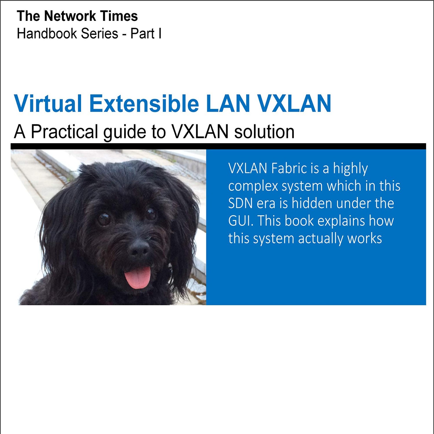 BOOK Virtual Extensible LAN VXLAN A Practical guide to VXLAN solution ...