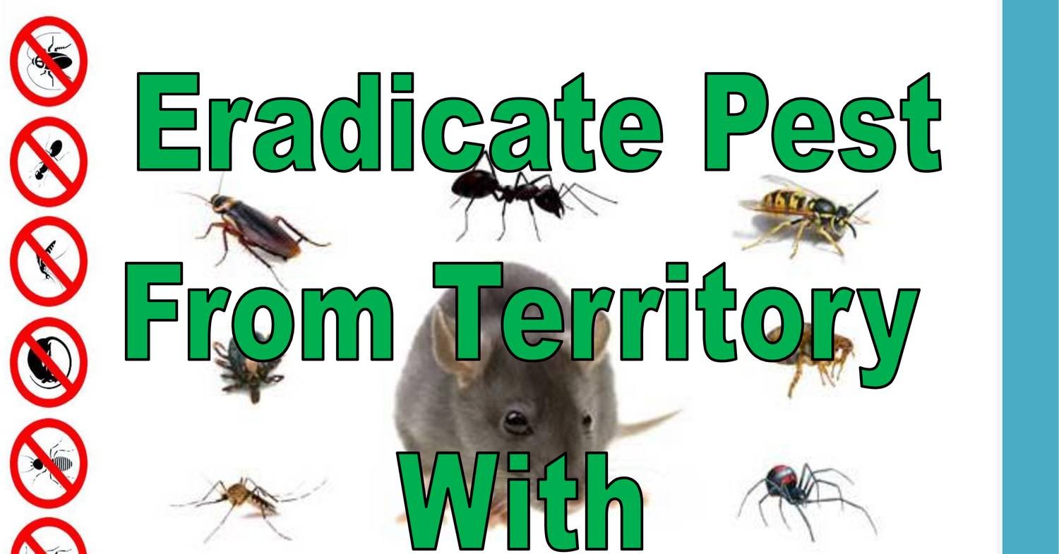 Eradicate pest from territory with the pest management service.pdf ...