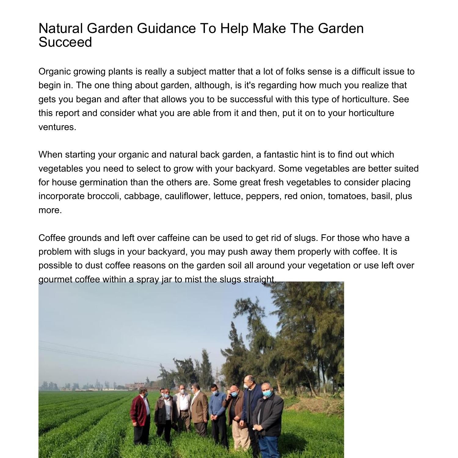 Organic and natural Horticulture Suggestions To Help Make Your Garden Succeedjmdgj.pdf.pdf ...