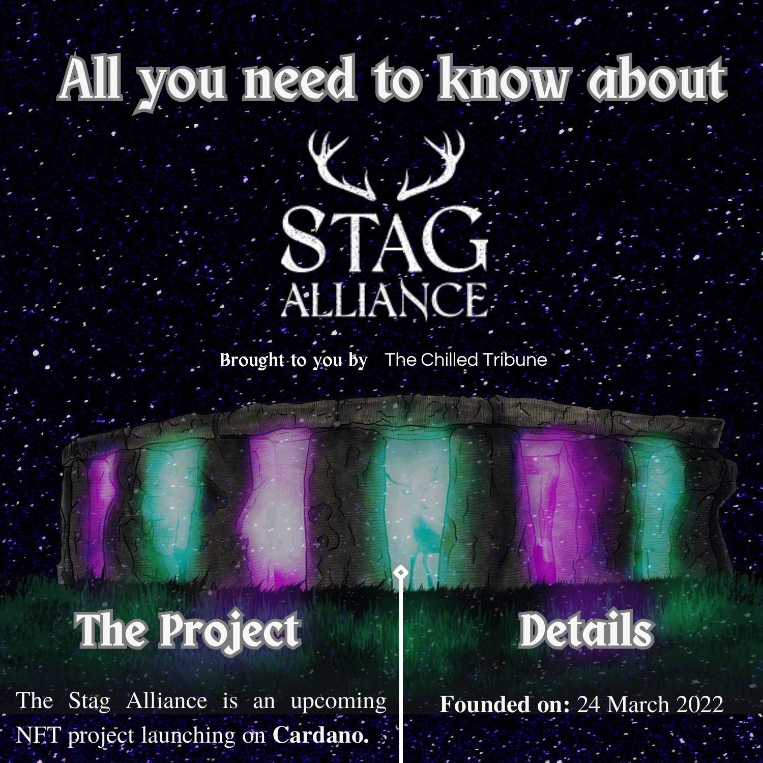 12-03-2023 - Stag Alliance Infographic.pdf | DocDroid