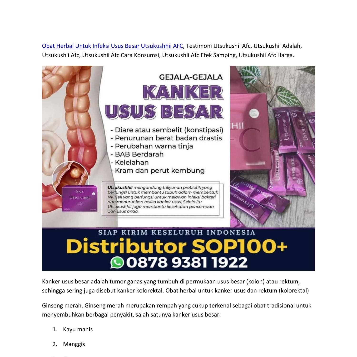 Obat Herbal Alami Untuk Usus Buntu Utsukushhii AFC.pdf | DocDroid