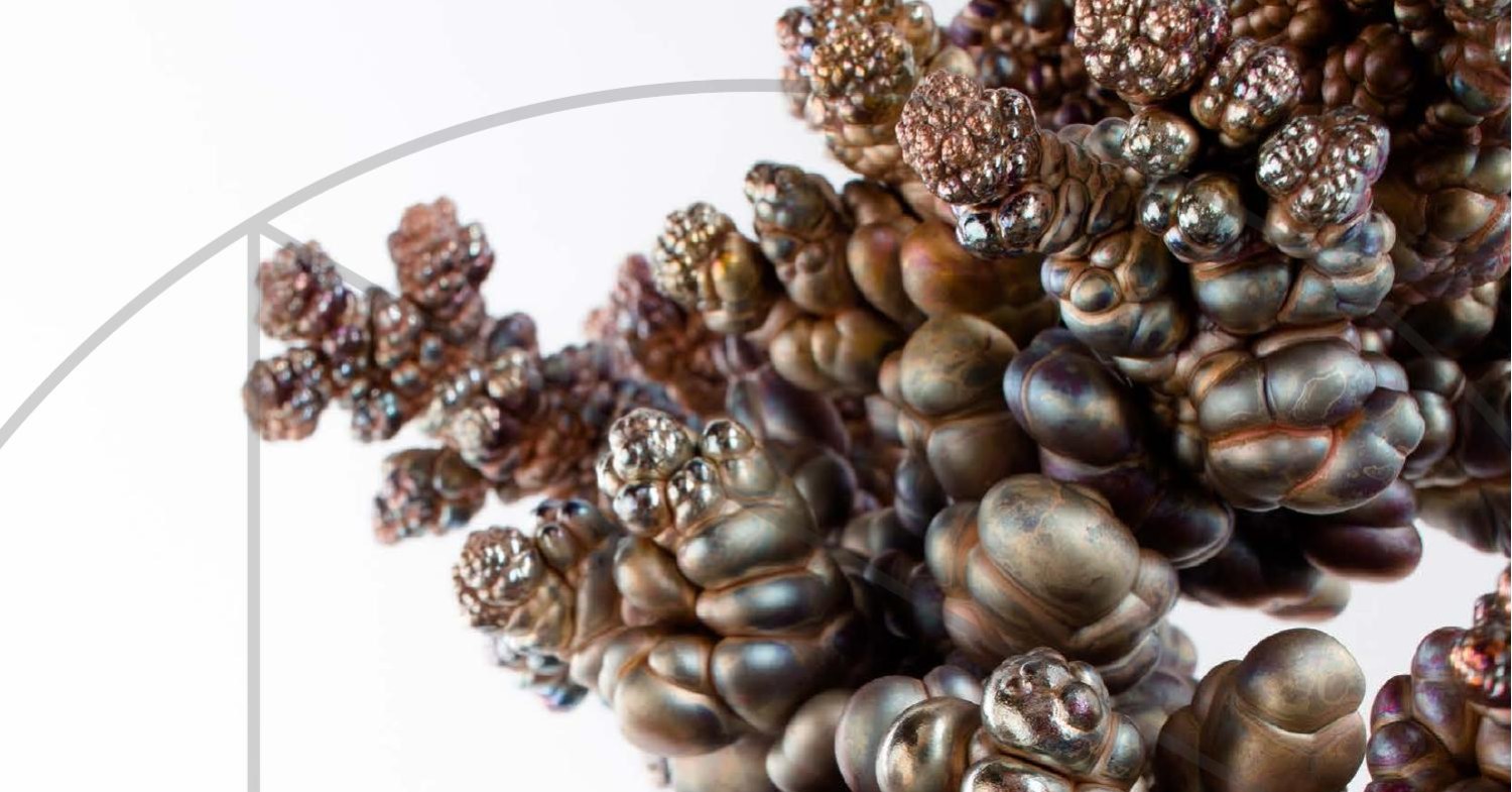 Calcified Vessel.pdf | DocDroid