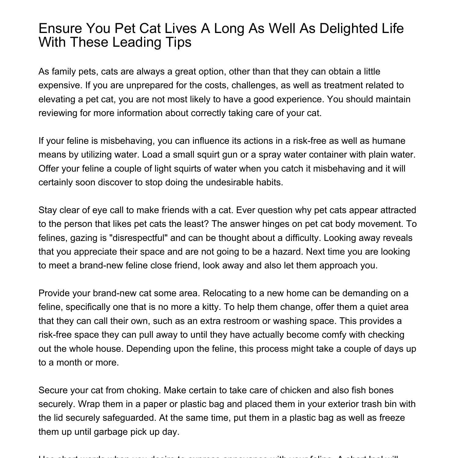 Ensure You Cat Lives A Long And Delighted Life With These Leading ...