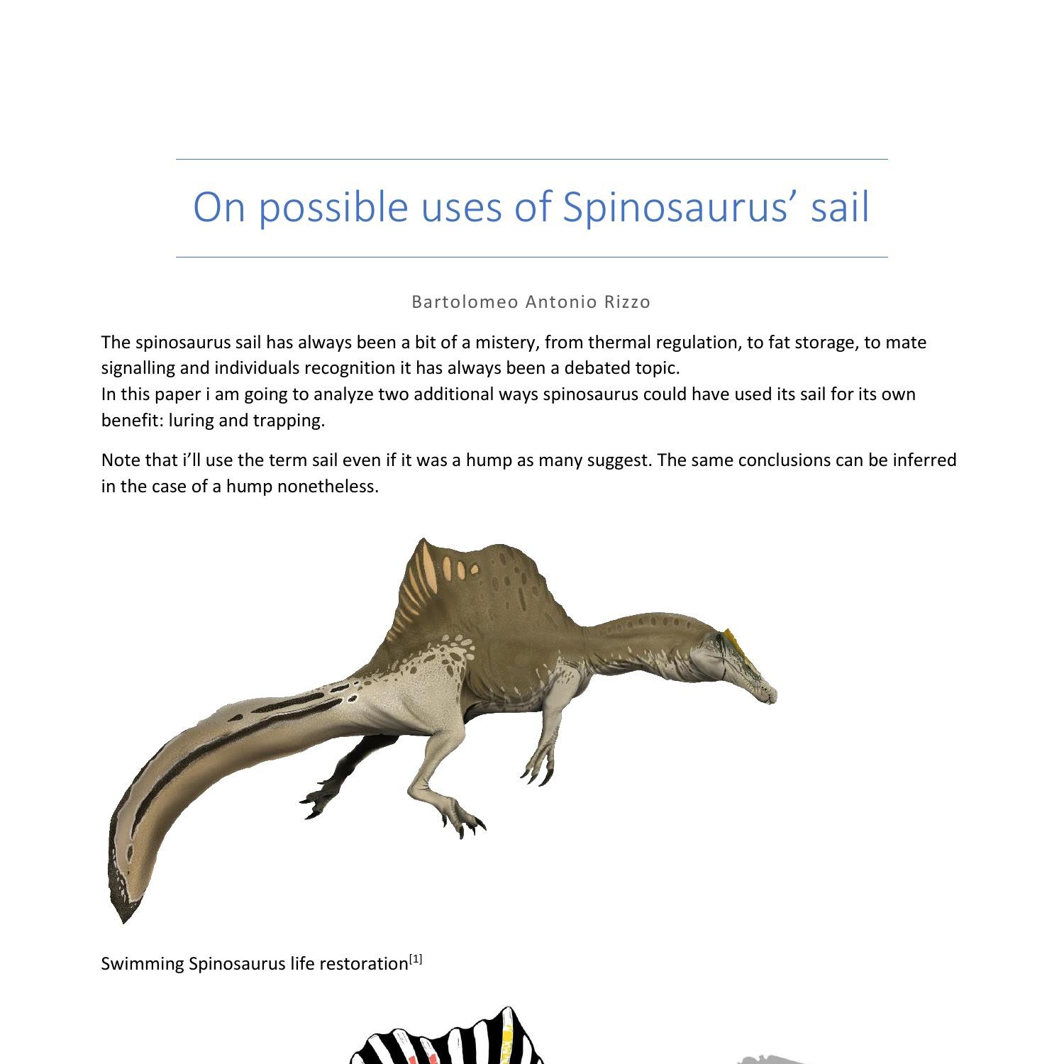 On possible uses of Spinosaurus sail.pdf | DocDroid