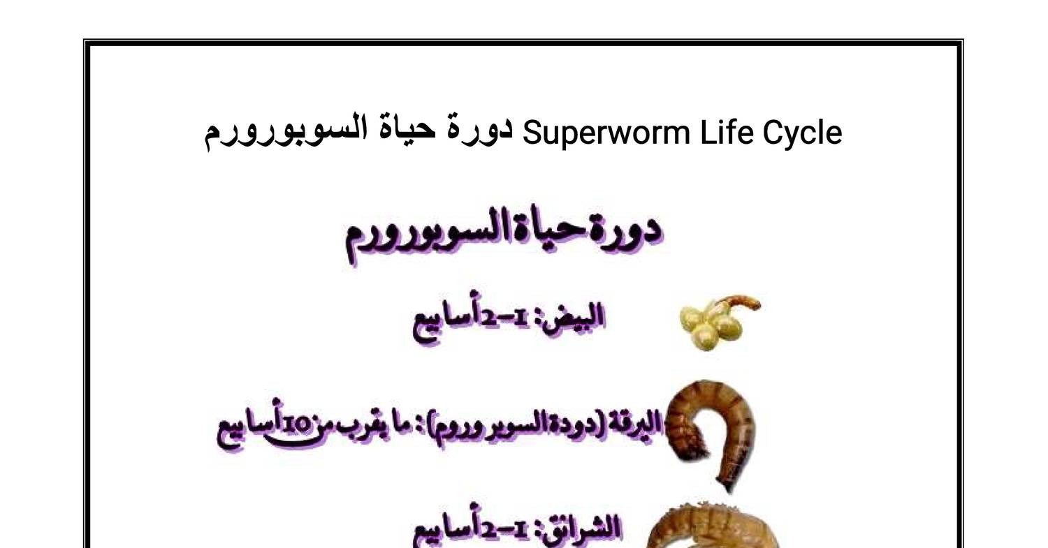 دورة حياة السوبورورم Superworm Life Cycle.pdf | DocDroid