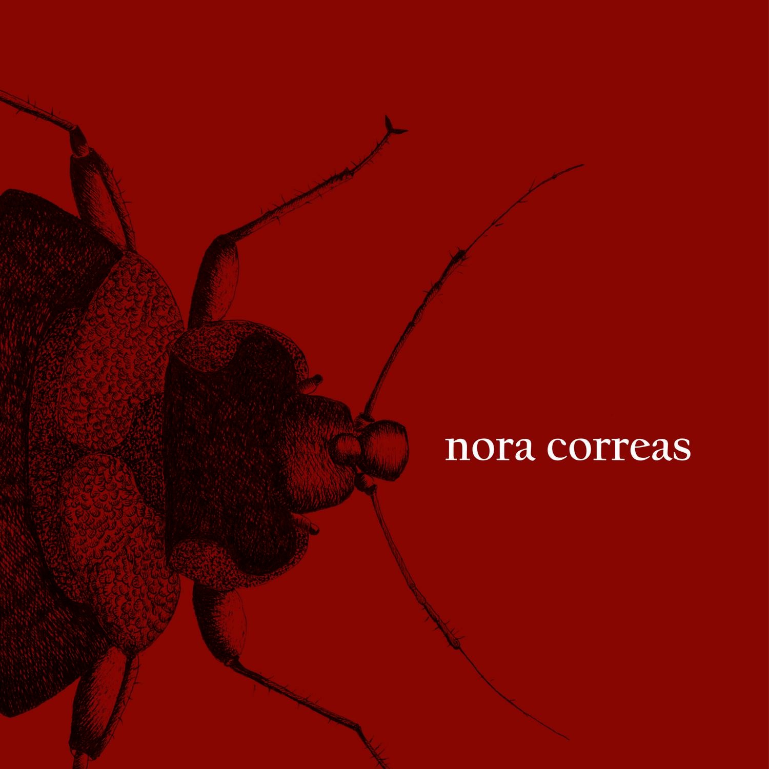 Nora Correas.pdf | DocDroid