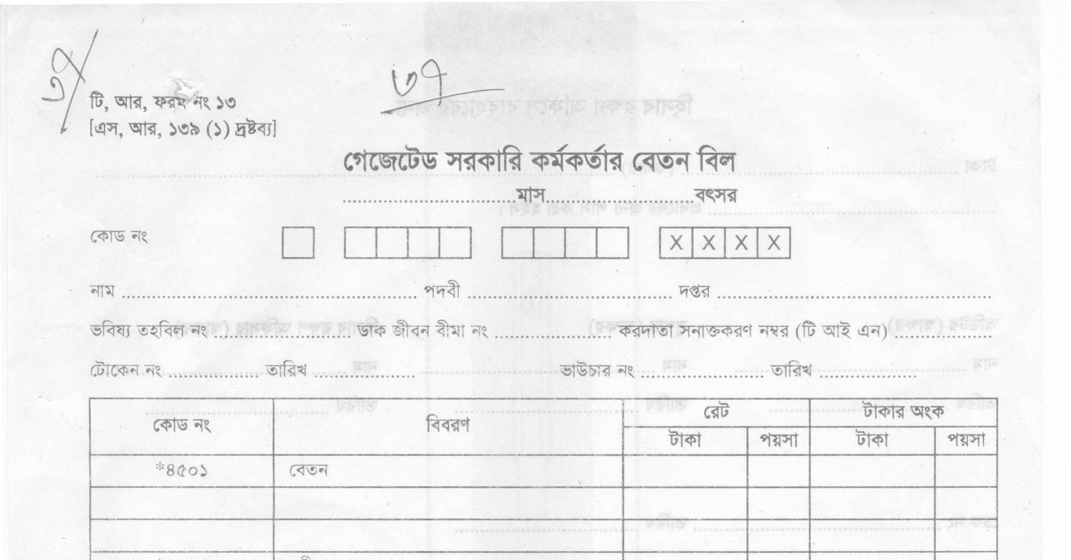 Form No TR-13 (গেজেটেড সরকারি কর্মকর্তার বেতন বিল).pdf | DocDroid