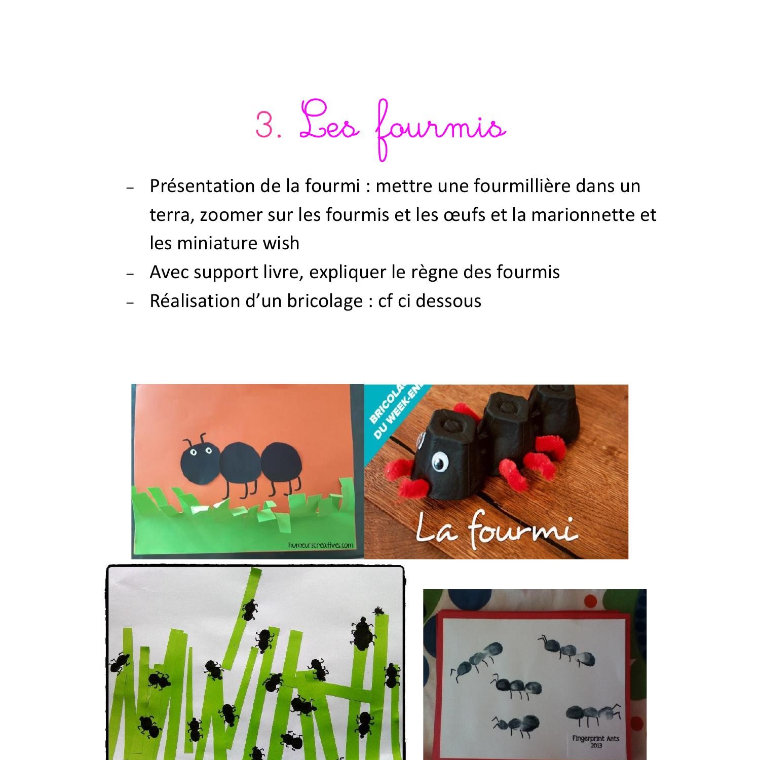 Dossier Les fourmis.pdf | DocDroid