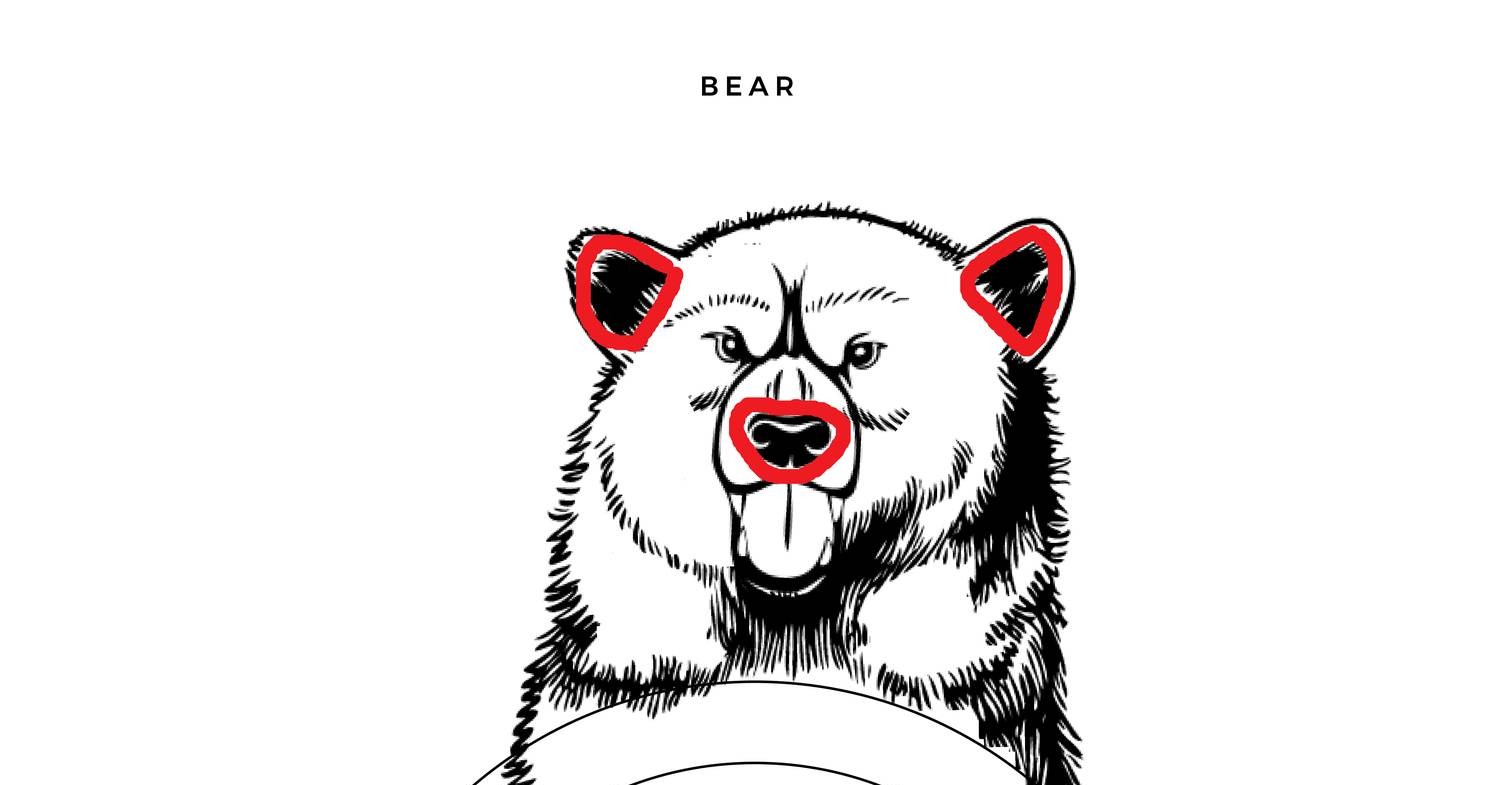 Target-Bear extra.pdf | DocDroid
