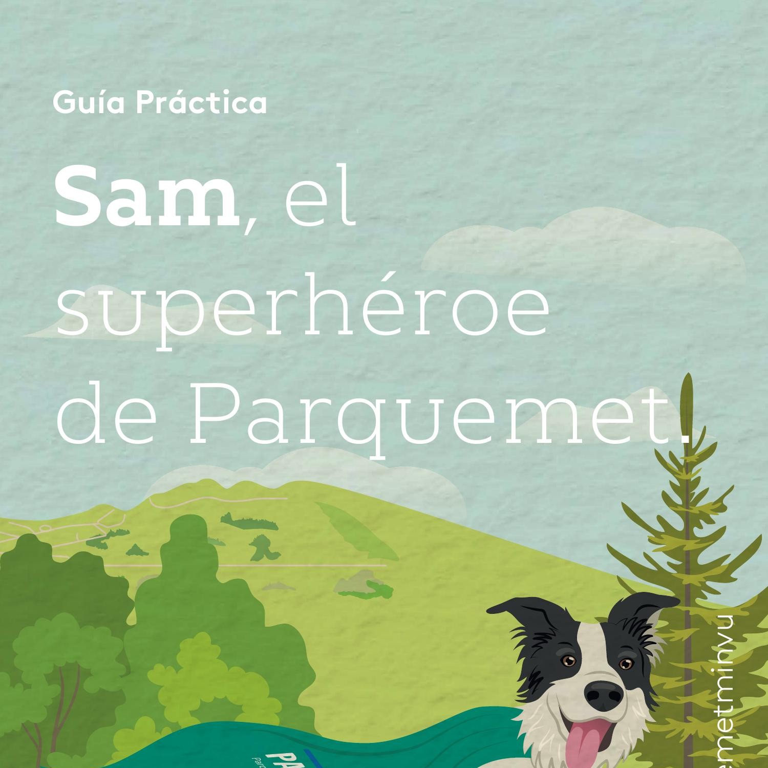 Guía Sam.pdf | DocDroid