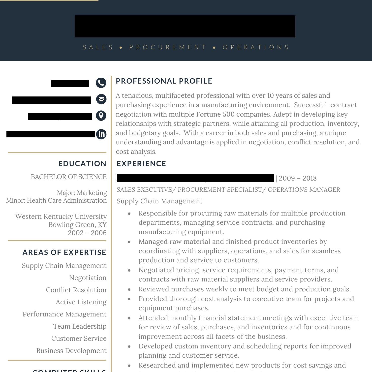 Professional resume 2020 template - weryprofiles