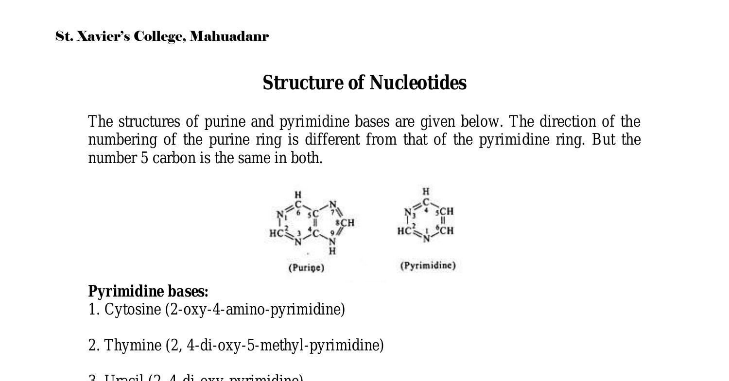 Structure and function of Nucleotides.pdf | DocDroid