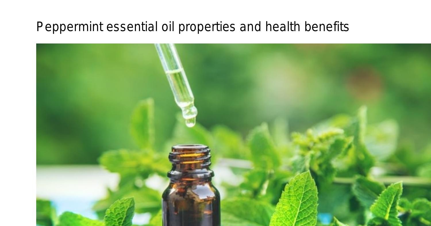 Peppermint essential oil properties and health benefitscrwri.pdf.pdf | DocDroid