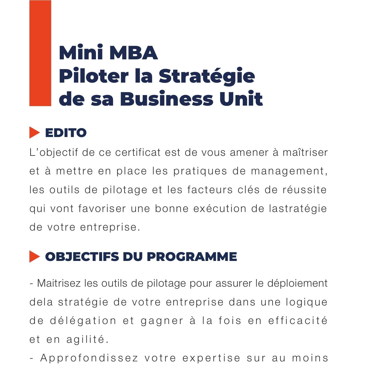 Mini MBA Piloter la Stratégie de sa Business Unit.pdf | DocDroid