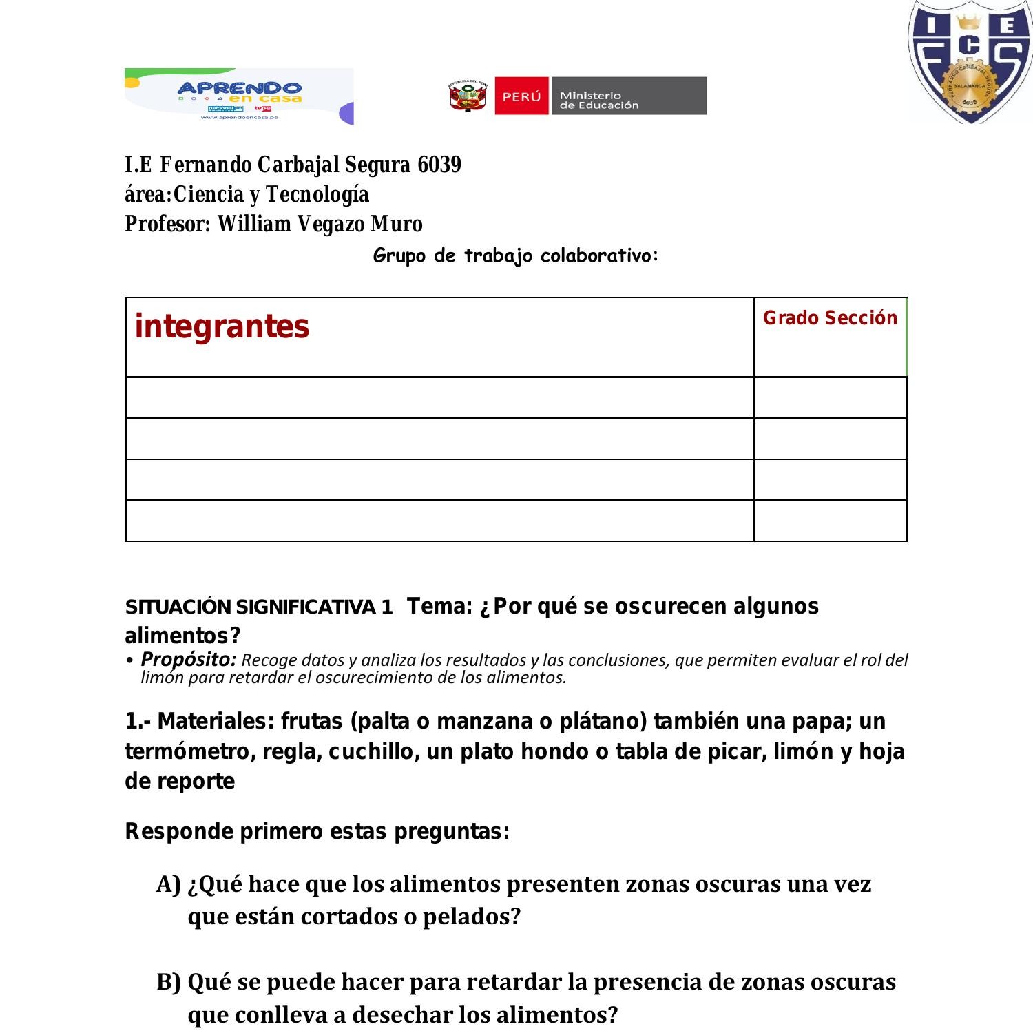 Ficha de Informe Final.docx | DocDroid