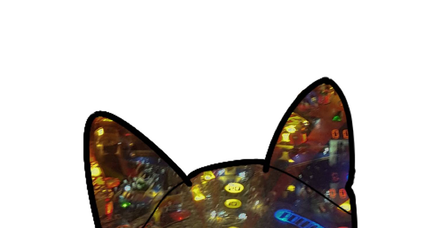 PAPA 20 A Guide - 4-3.pdf | DocDroid