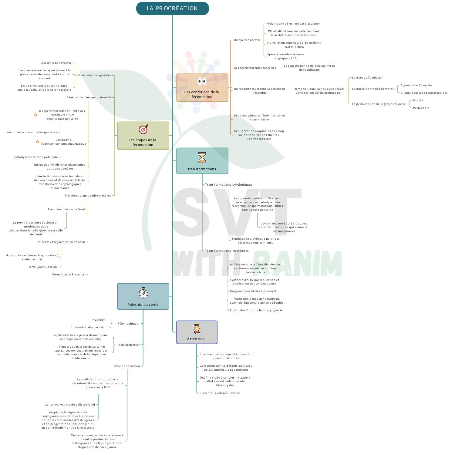 Procreation.pdf | DocDroid