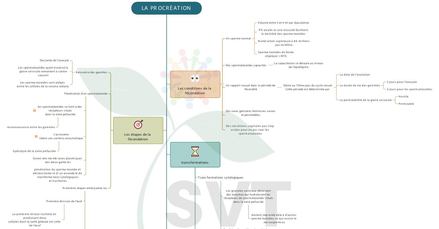 Procreation.pdf | DocDroid