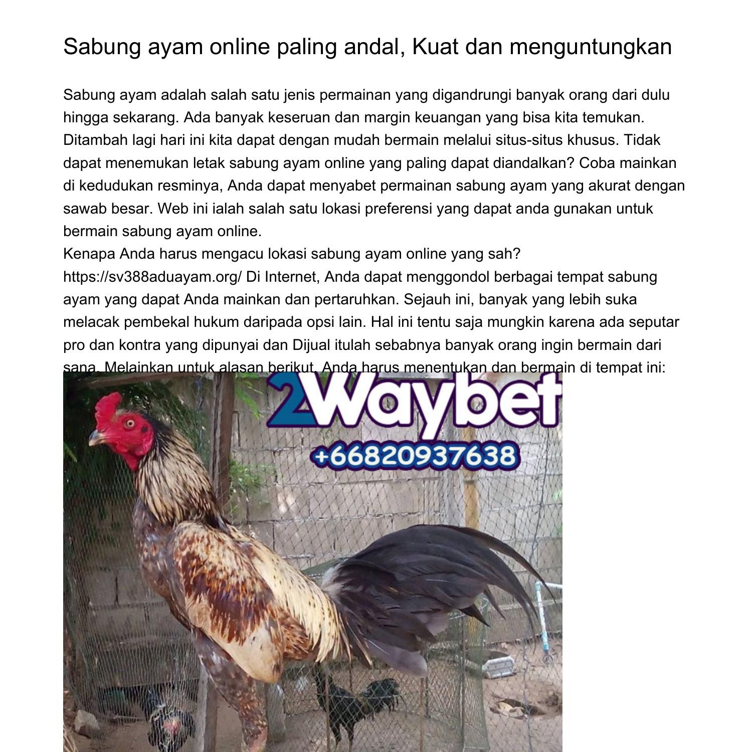 Sabung ayam online paling andal Kuat dan menguntungkanwojva.pdf.pdf | DocDroid