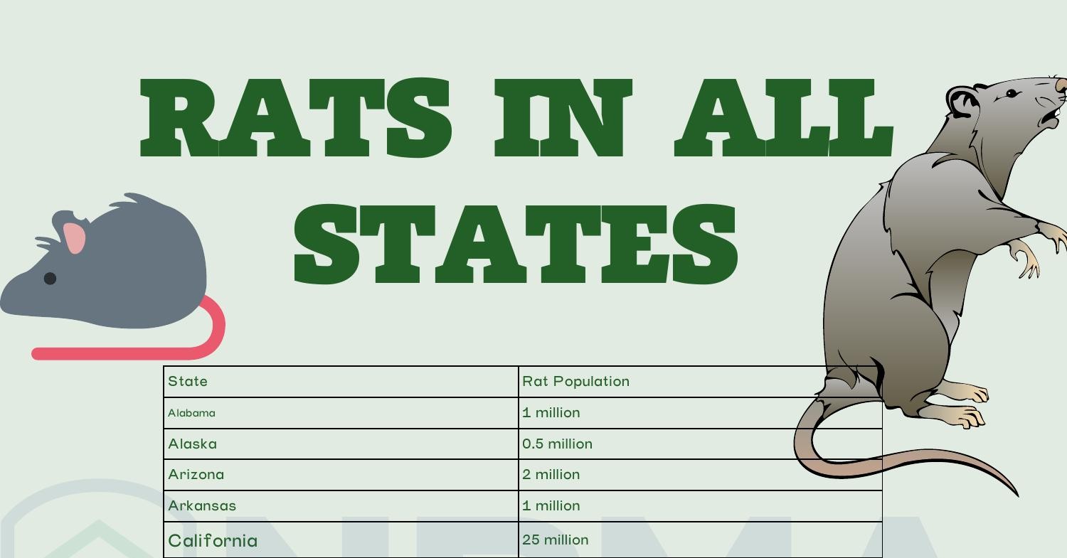 Rats by state NATIONAL PEST MANAGEMENT ASSOCIATION.pdf | DocDroid