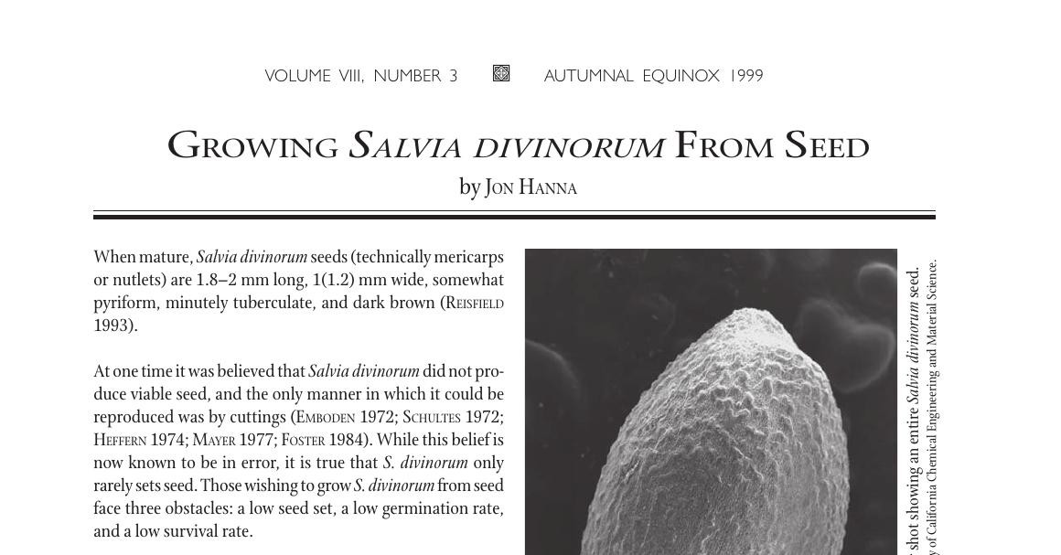 Growing Salvia divinorum from seeds.pdf | DocDroid
