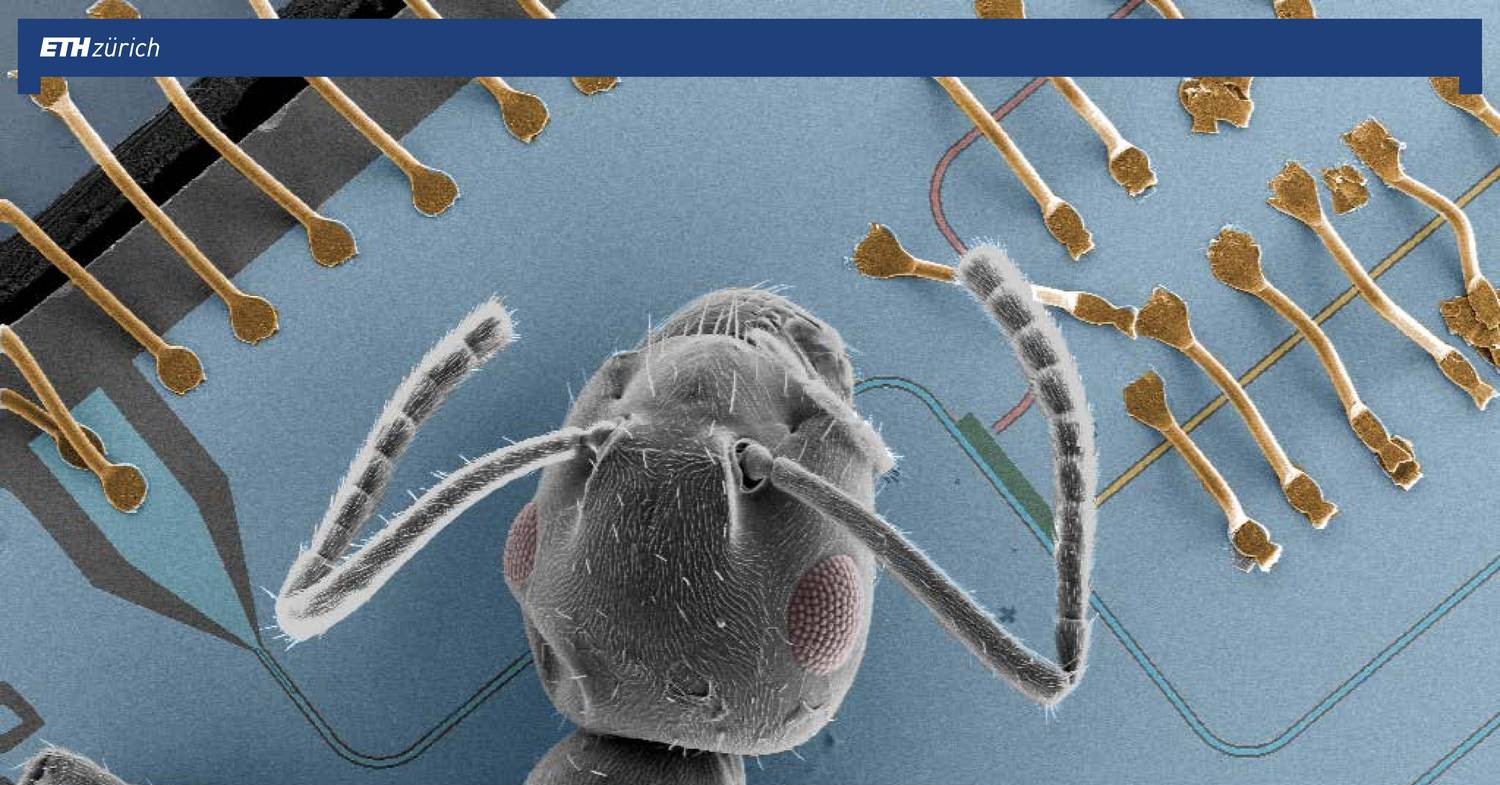 Andreas_Wallraff_Exploring Quantum Physics with Superconducting Circuits.pdf | DocDroid