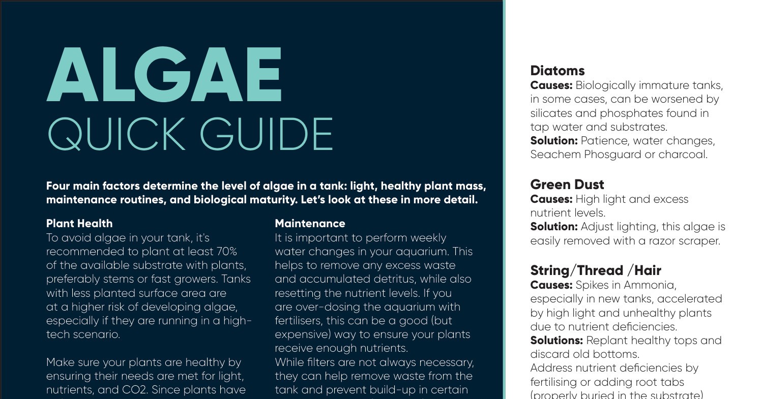 Algae guide .pdf | DocDroid