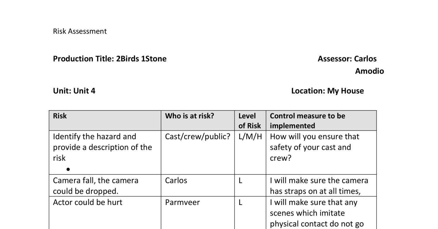 Risk Assessment Template.docx | DocDroid