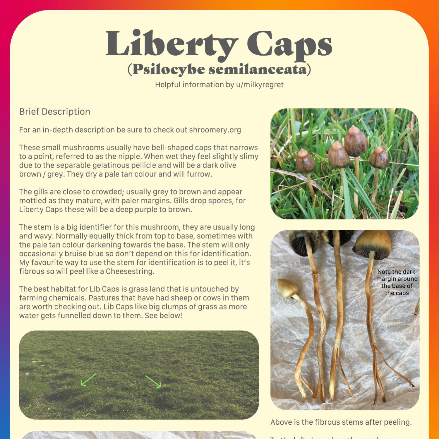 Liberty_Cap_info_sheet.pdf | DocDroid