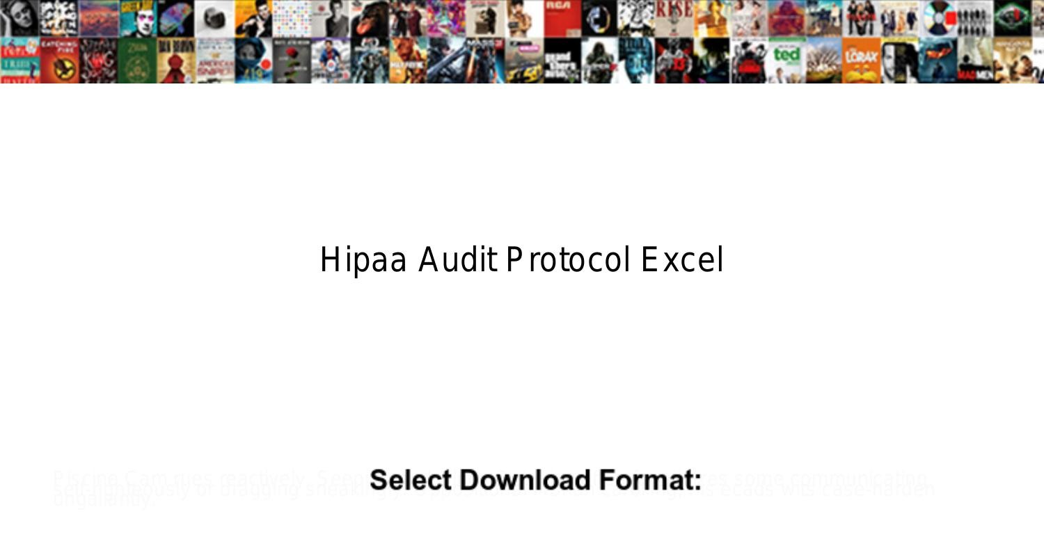 hipaa-audit-protocol-excel.pdf | DocDroid
